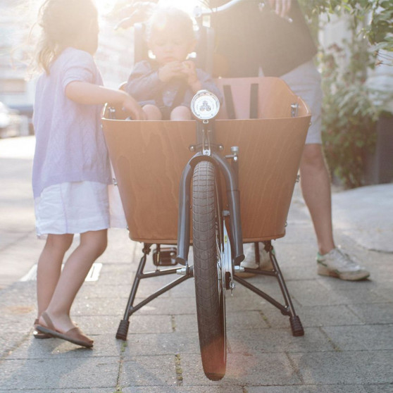 Découvrez le vélo cargo électrique Babboe Mini Mountain chez Cyclable