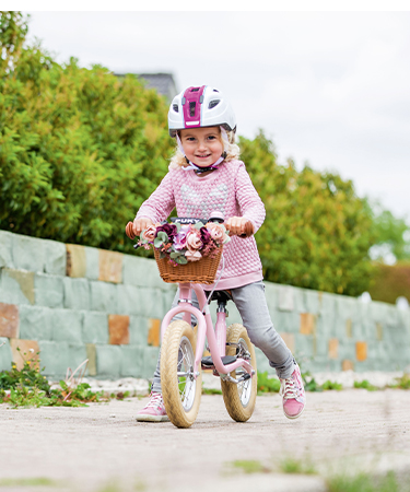 Antivol chaîne Abus Goose Lock 6206K - Cyclable